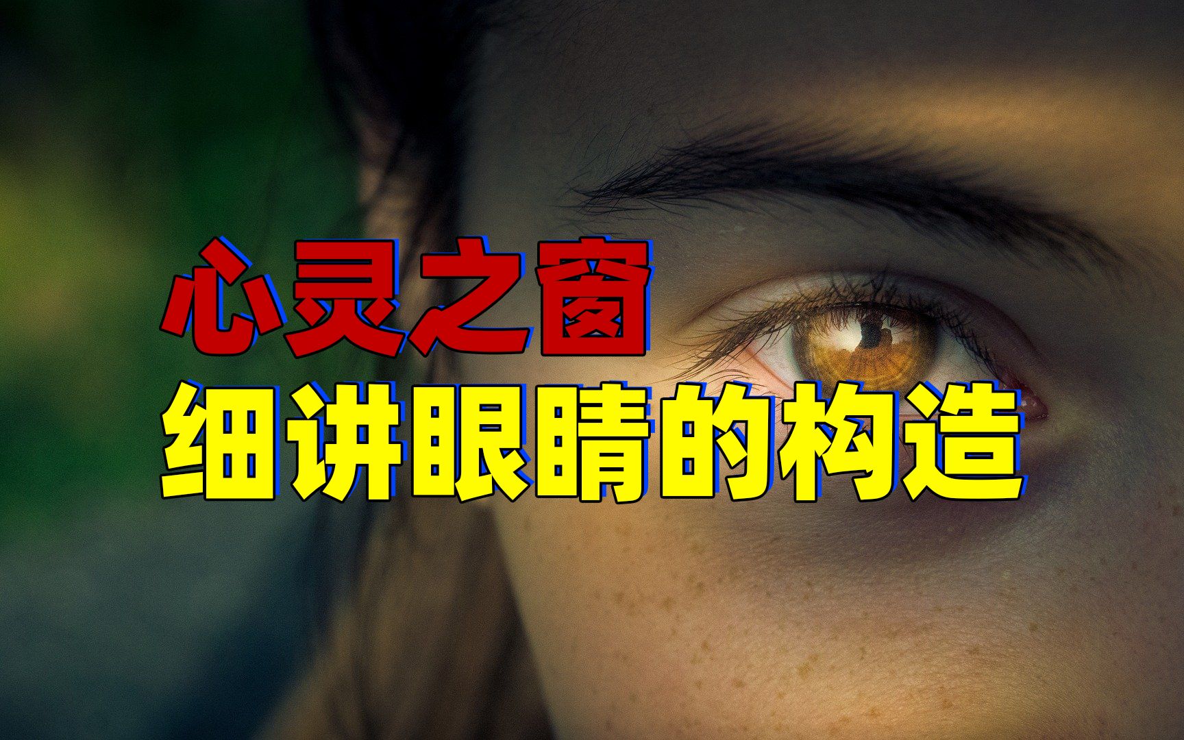 心灵之窗——细讲眼睛的构造和结构