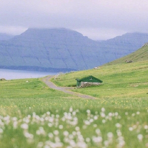 霍格沃兹小甜饼 