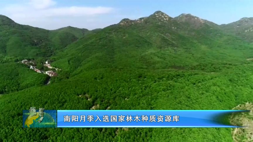 南阳月季入选国家林木种质资源库