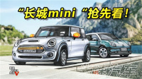 长城MINI纯电动车