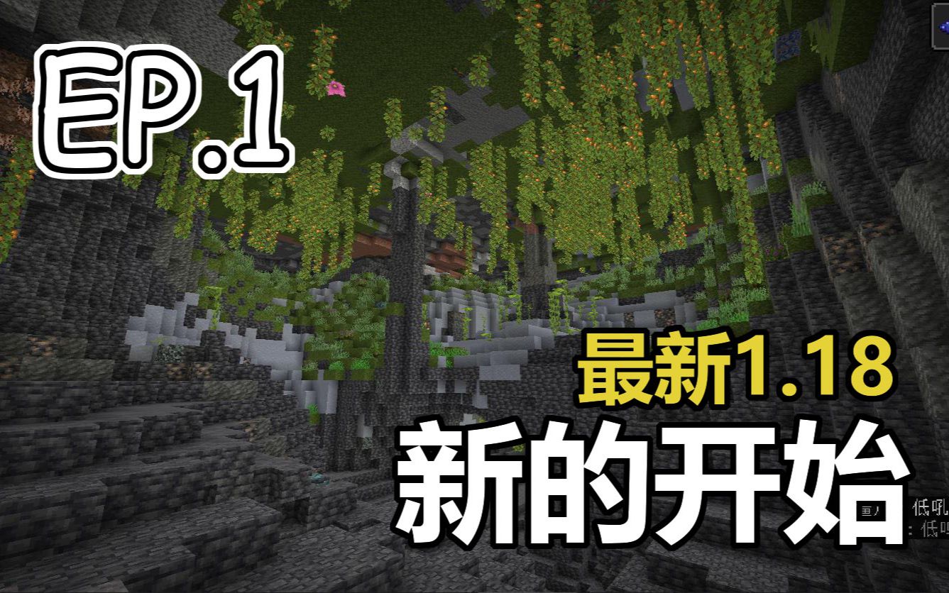 【我的世界】最新1.18生存EP.1-新的开始