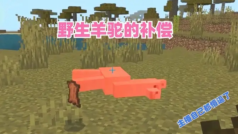 我的世界MC:野生羊驼最后的补偿,搞笑视频