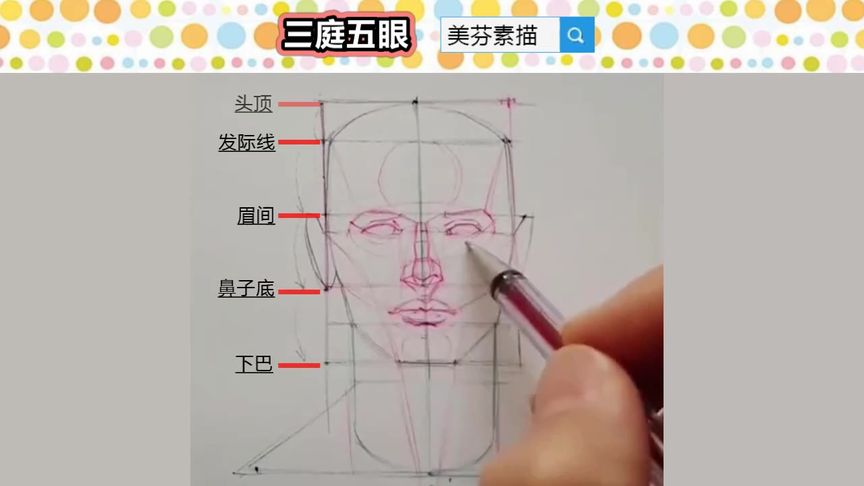 画人物素描头像时,如何准确的画对“三庭五眼”的位置?