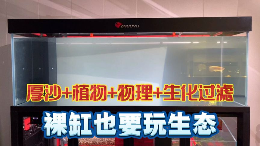 给鱼缸底滤装上厚沙系统和植物过滤 裸缸也要玩生态发烧级龙鱼缸
