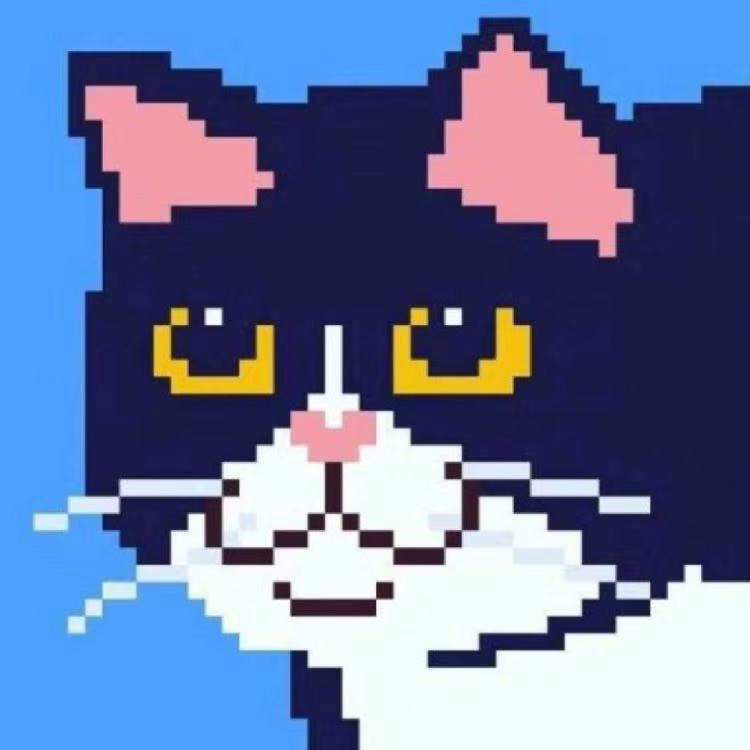 像素猫ZM 
