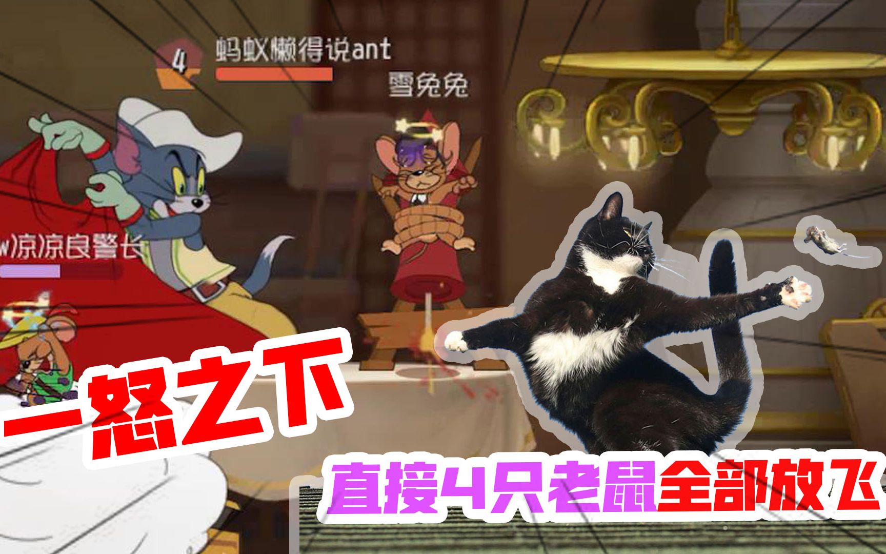 猫和老鼠手游:蚂蚁开局被打倒?一怒之下,直接4只老鼠全部放飞