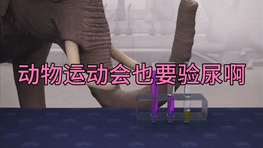 爆笑动物运动会,看看动物也是会作弊的啊,真是太反转了ߘ�ߘ