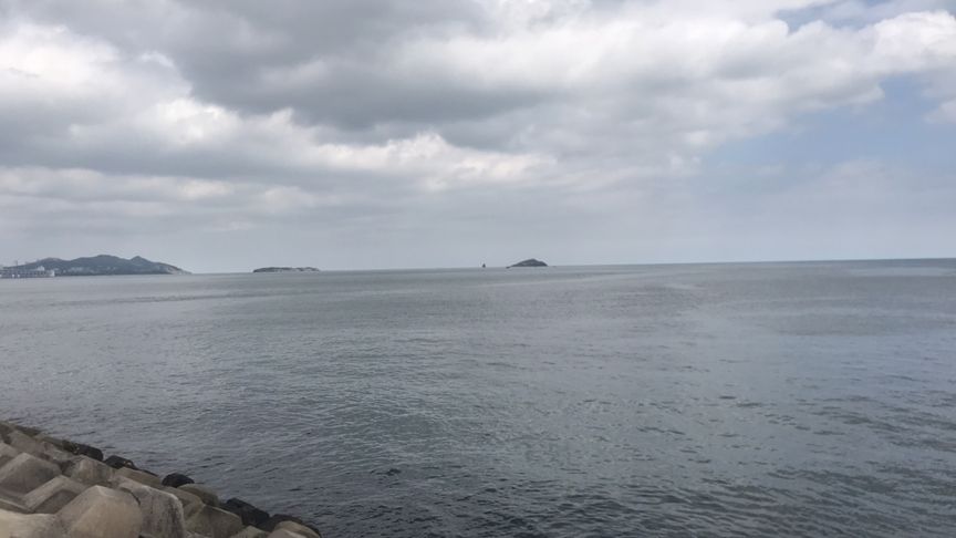 大连特大暴雨,山洪入海,海水变黄。