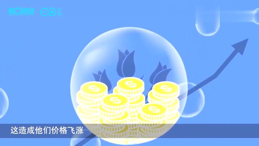 4分钟了解 经济泡沫是如何产生的?丨财经科普