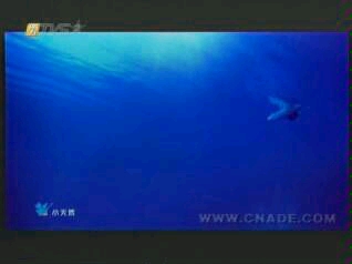 小天鹅衣诺滚筒纯臻系列洗衣机 15s