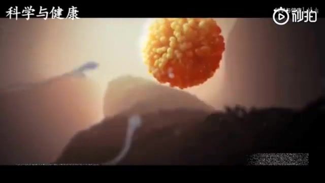 3D动画带你看生命最初的起源过程!