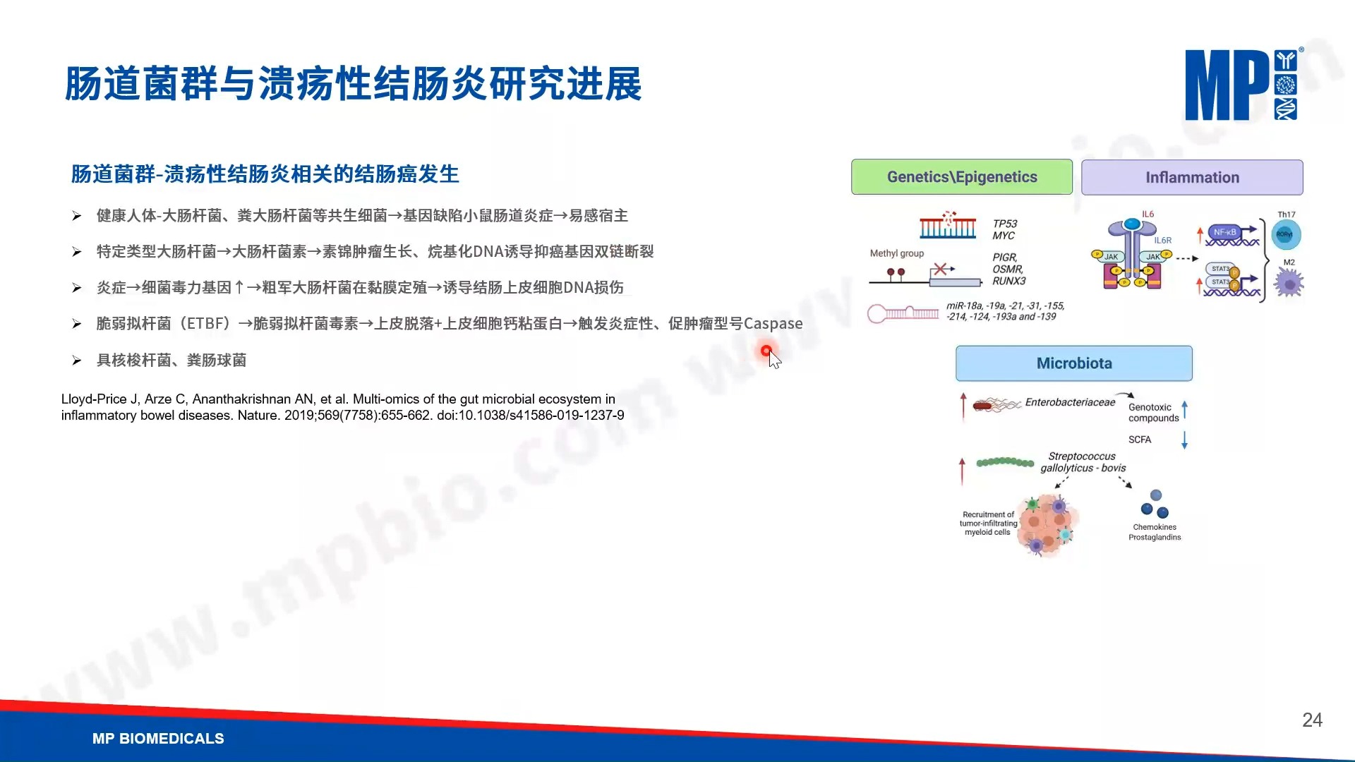 【讲座回放】溃疡性结肠炎与肠道菌群实验技巧及研究进展分享