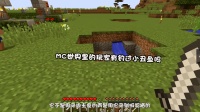 我的世界: MC里的小丑鱼不是用来充饥的而是用来驯服貂猫的!