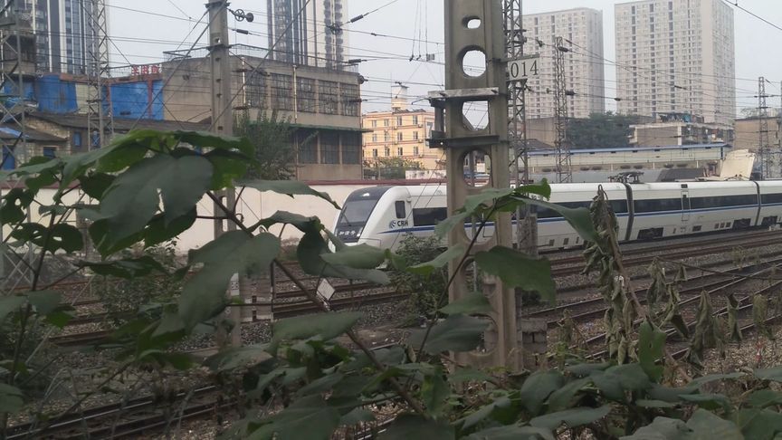 成灌铁路,成都开往青城山,和谐号CRH1A型动车组,成都站发车