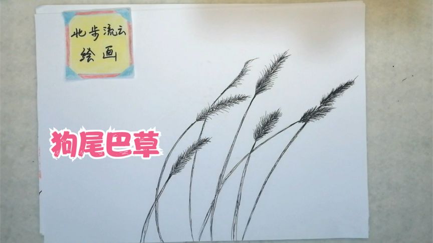 用针管笔画狗尾巴草简笔画,简单易学的儿童简笔画
