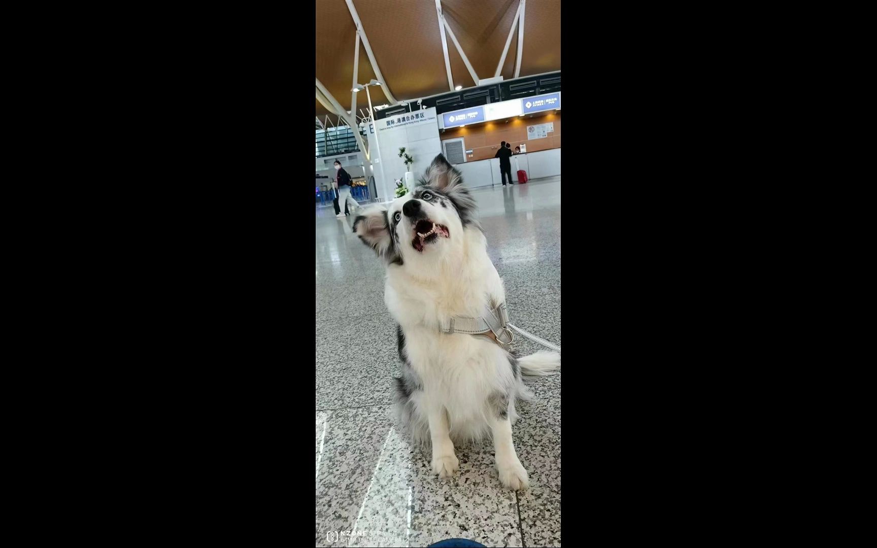 东莞到黄石大巴车票价及客车票价时刻表