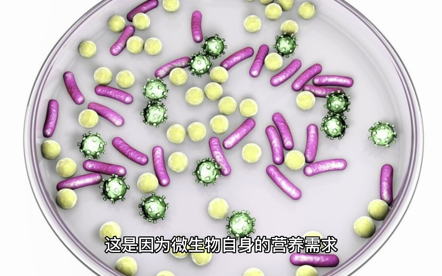 细菌为什么往体外分泌生物酶?