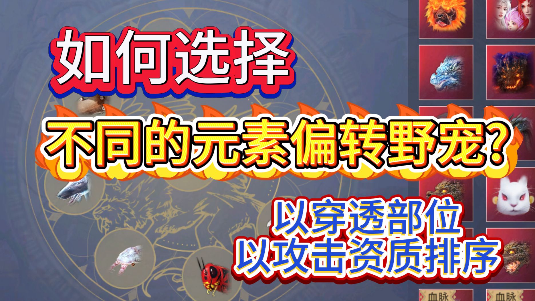 如何选择不同的元素偏转野宠?以穿透部位/以攻击资质排序 这些才是...