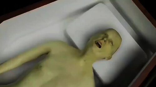科普百科科普动画