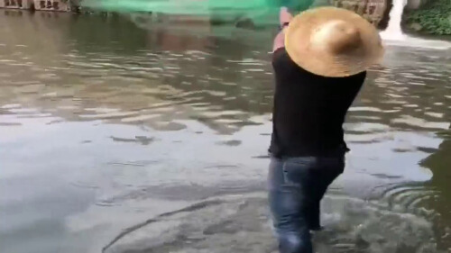 撒网不仅要找对地方,还要有技术!大哥捕鱼靠的是实力