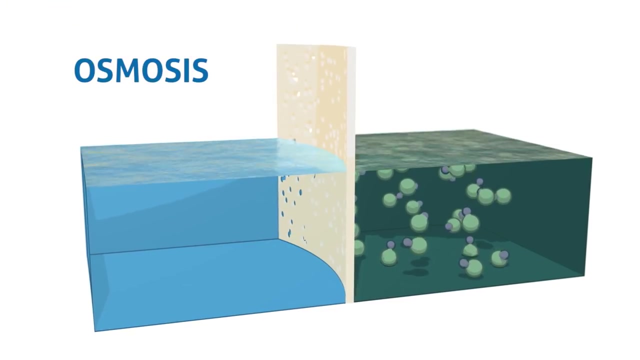 关于渗透压及反渗透压的原理讲解