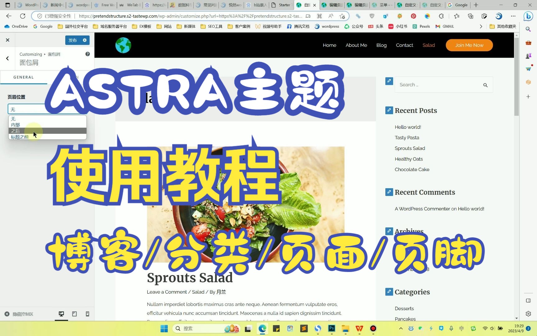 wordpress建站视频教程:ASTRA主题使用教程4 博客/分类/页面/页脚设置