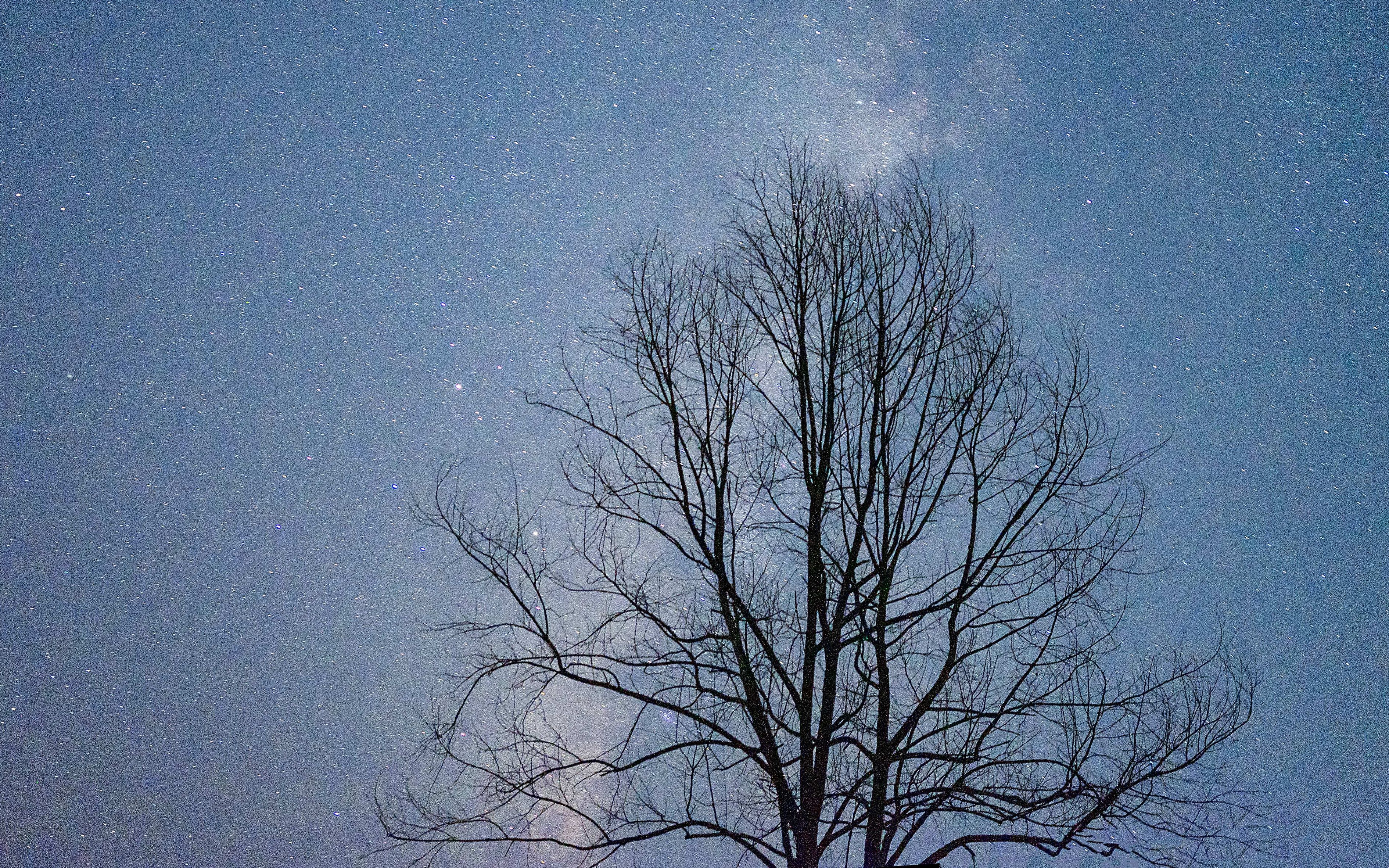 从未见过这样美丽的星空-索尼a7m2星轨延时摄影