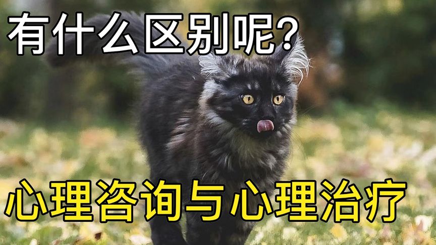 知识分享 | 心理咨询与治疗有什么区别?