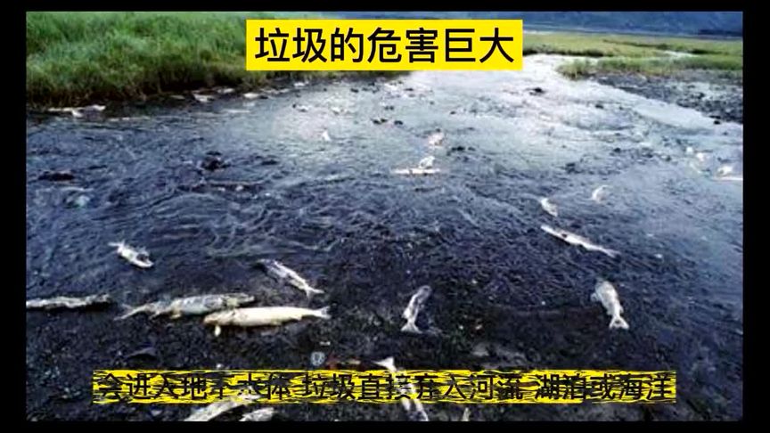 垃圾危害巨大,那你知道垃圾是怎么破坏环境的吗?