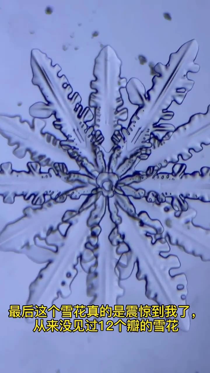 显微镜下的雪花太神奇了
