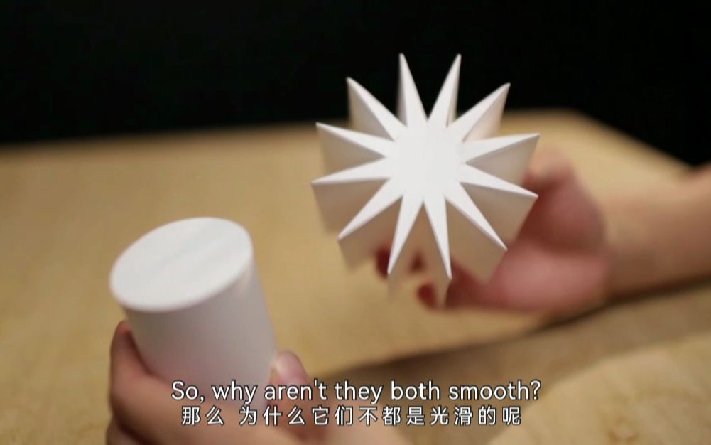 Mimicries 自然模仿秀 folds