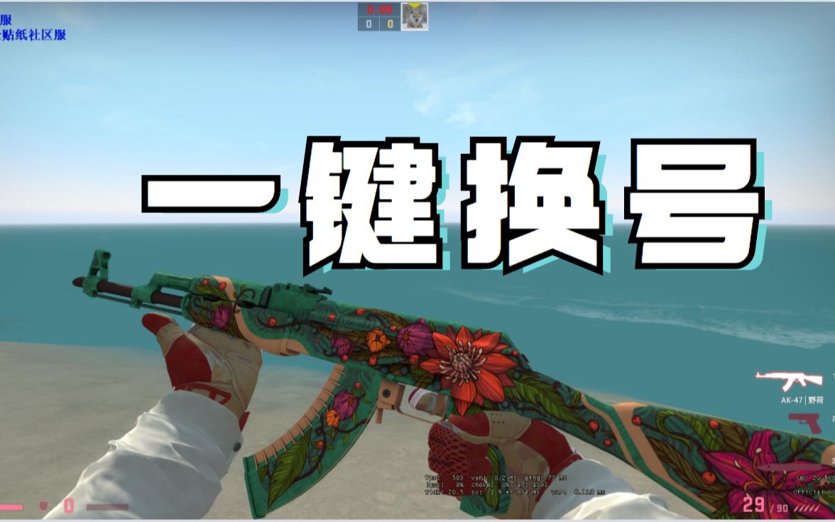 【必备小知识】CSGO一键保存游戏设置_哔哩哔哩bilibili_CSGO
