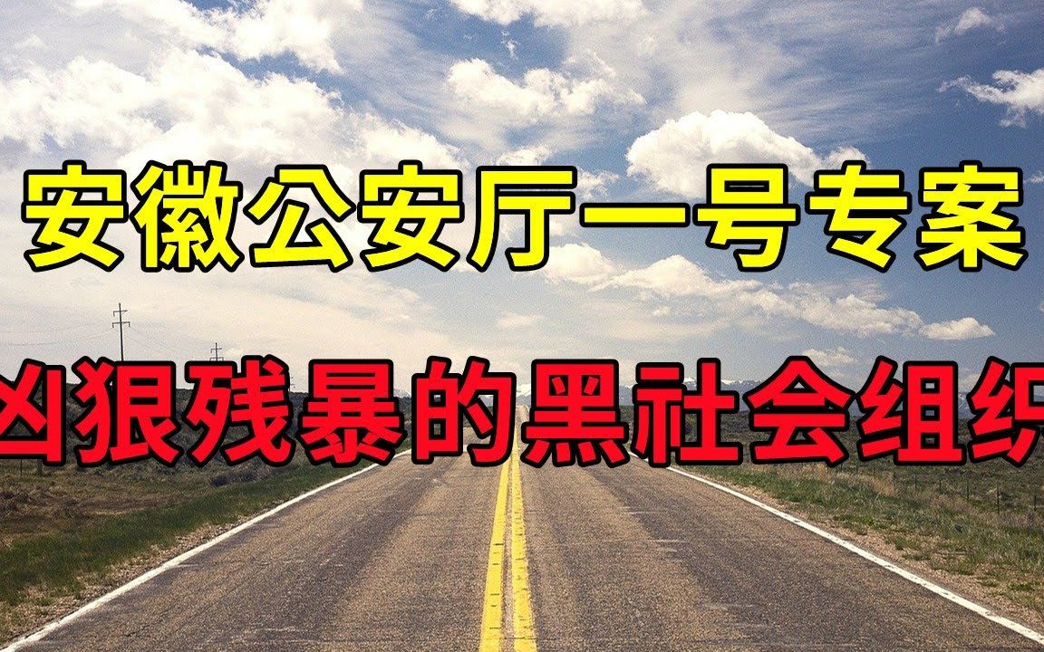 安徽公安厅一号专案,凶狠残暴的黑社会组织覆灭案 - 大案要案纪实录 - ...