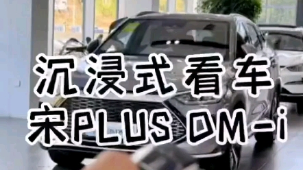 宋PLUS DMi,现车,20天包提车
