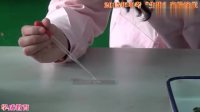 实验三叶片下表皮细胞-国语流畅