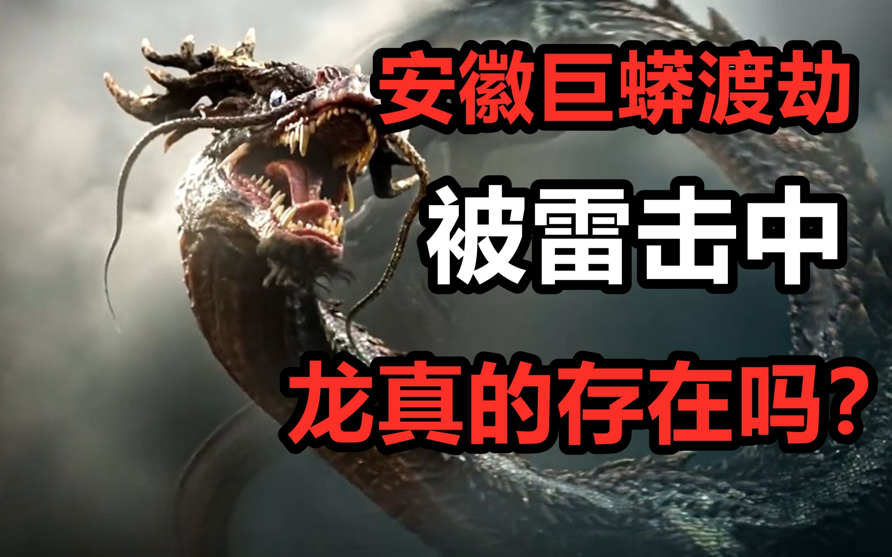 【高能慎入】95年安徽巨蟒渡劫之谜,雷击现象还是灵异事件?