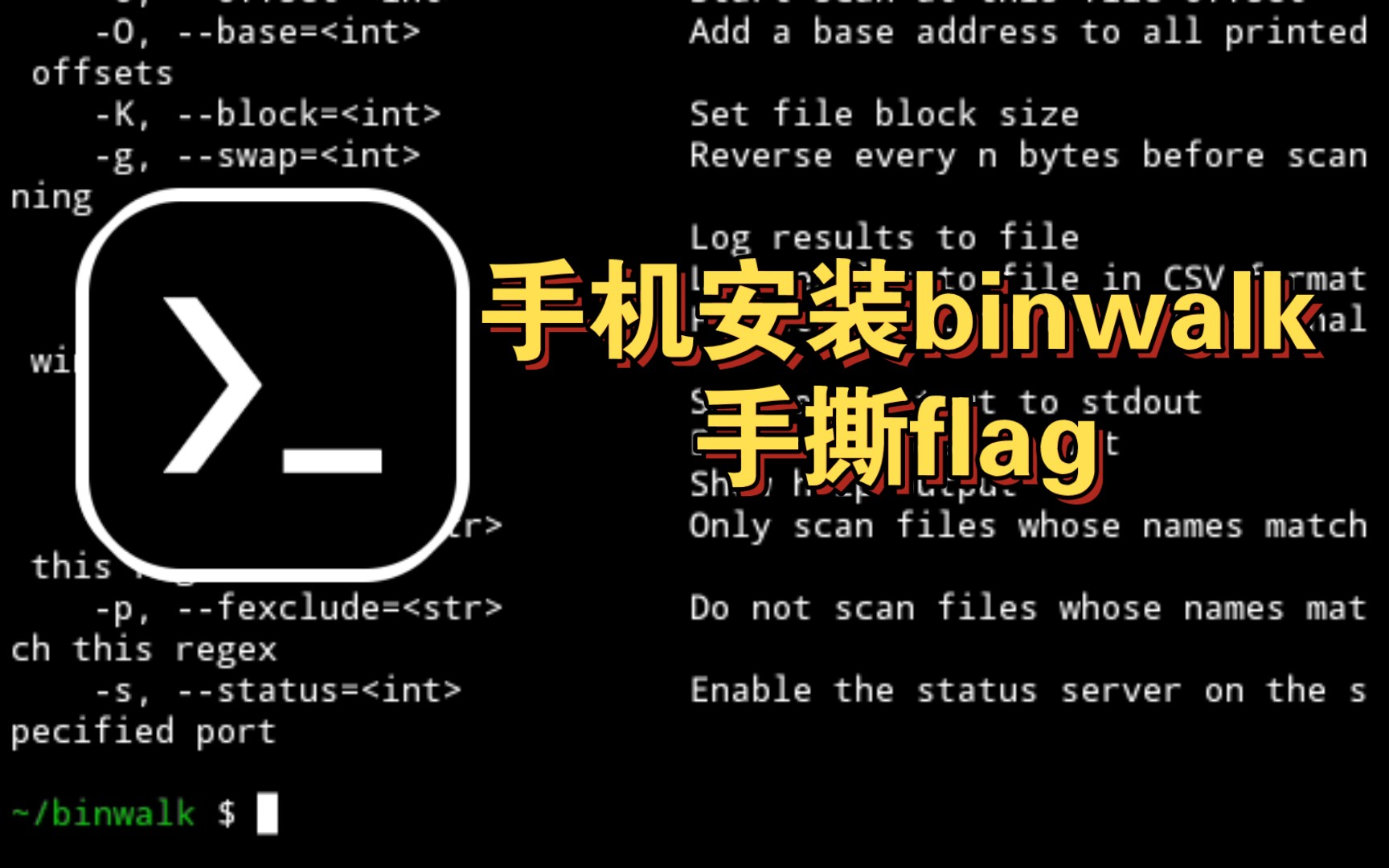 如何在手机上安装binwalk 手撕flag