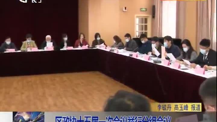 区政协十五届一次会议举行分组会议