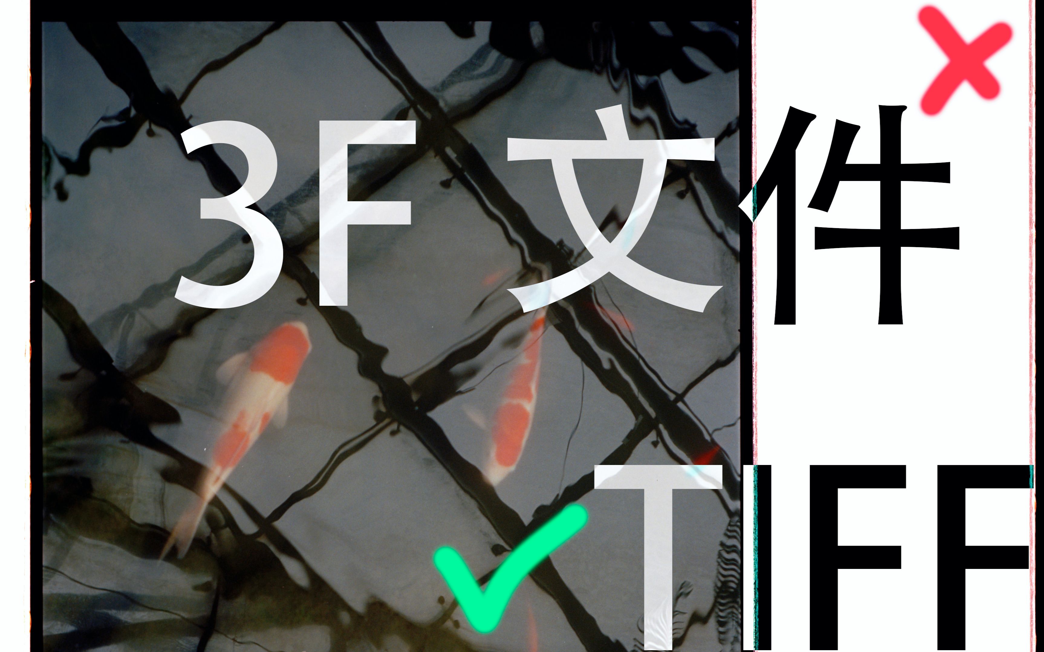 2021年玩胶片不会还有人不知道怎样把哈苏3F文件转成TIFF吧?