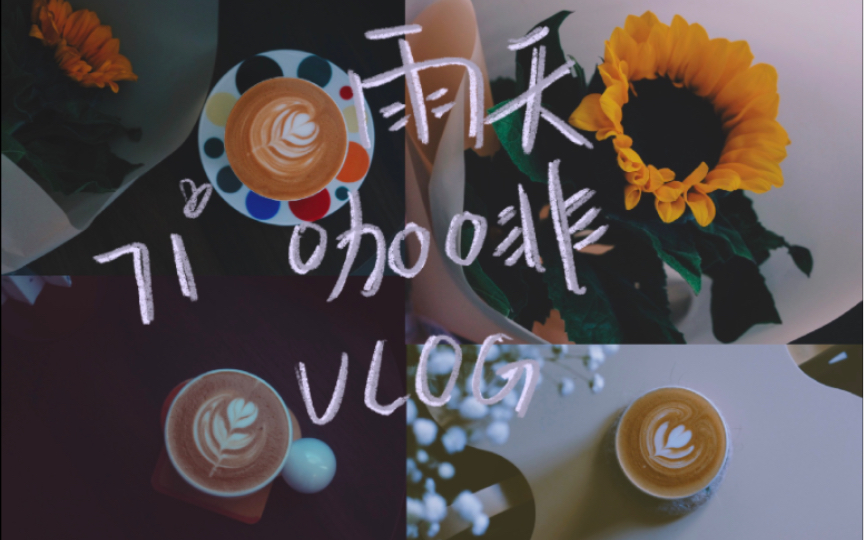 雨天咖啡vlog71 / 哥伦比亚独木舟庄园条纹波旁手冲 / torch山峰滤杯冲...