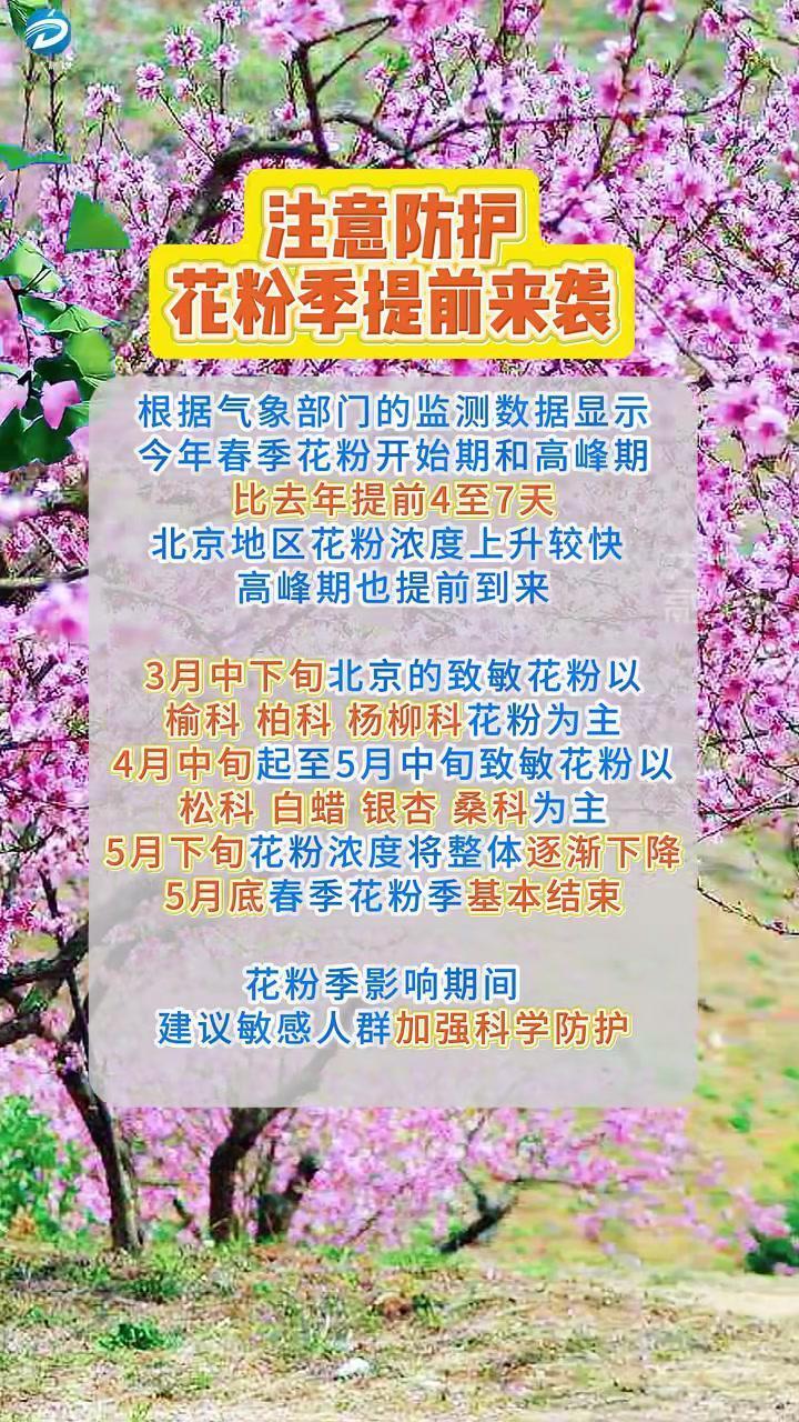 注意防护!北京提前进入花粉季(大兴融媒:苏金喆来源;北京晚报)#北京#...