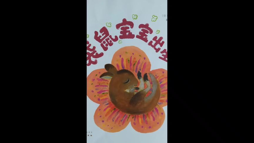 绘本推荐《袋鼠宝宝出生了》