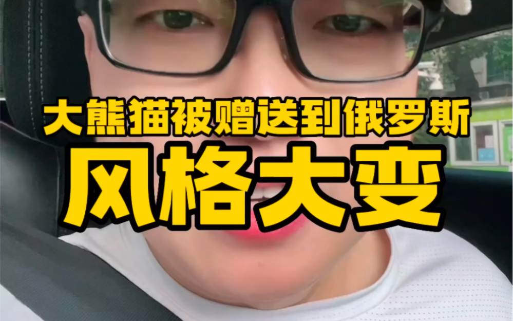 大熊猫被赠送到俄罗斯,风格大变‼️