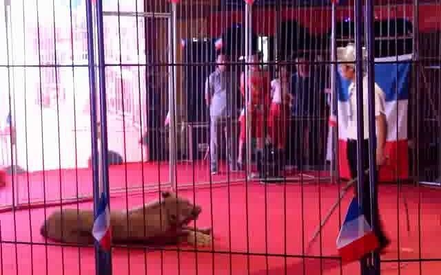 法国国家大马戏团?开发公司挂羊头卖狗肉 中国草台班子冒充法国国家...