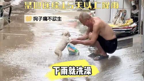 下雨天大爷给狗洗澡,狗子一脸享受:这搓澡技术太专业了!