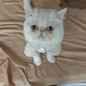 哈球球球球球球球 
