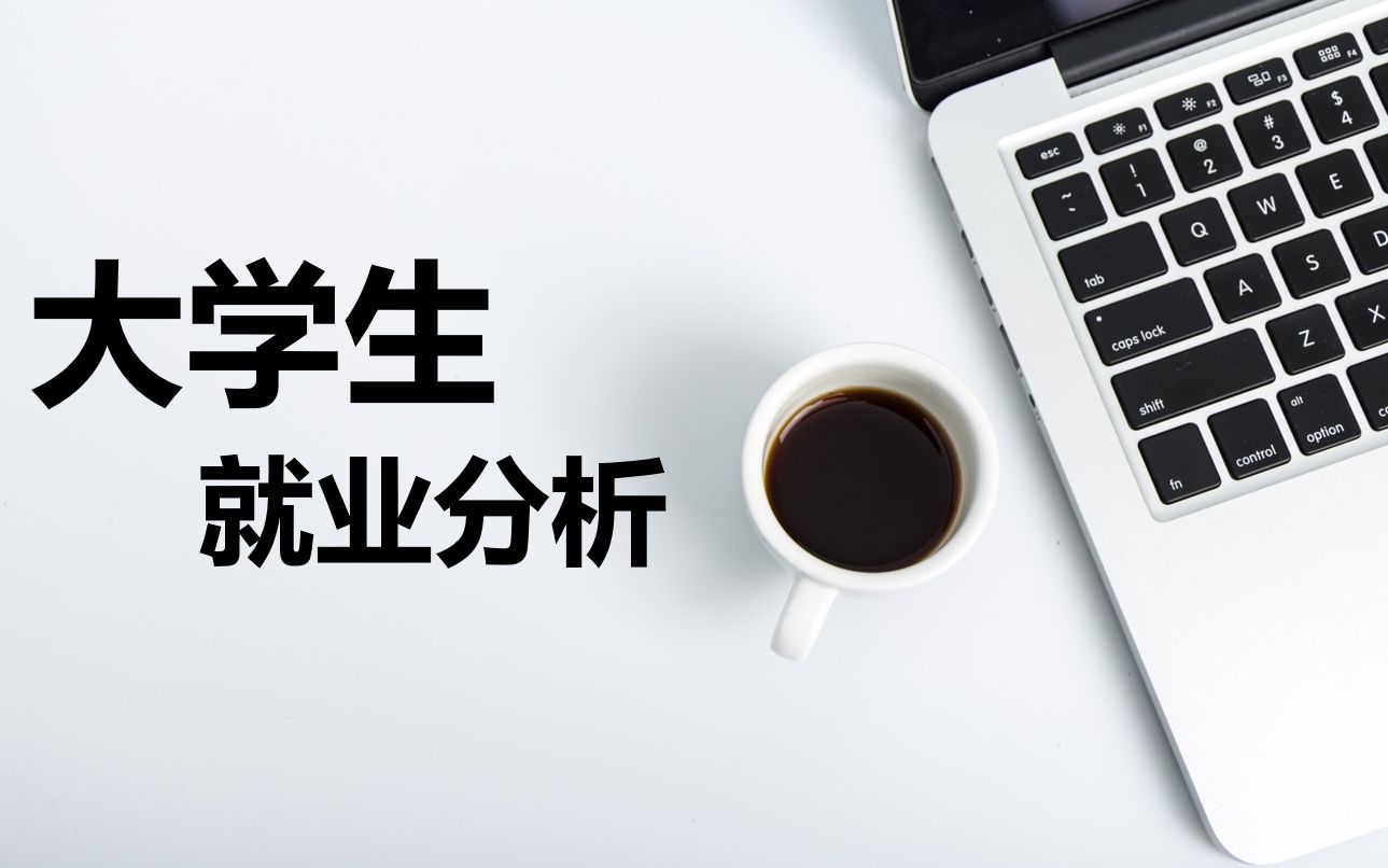 大学生就业分析PPT