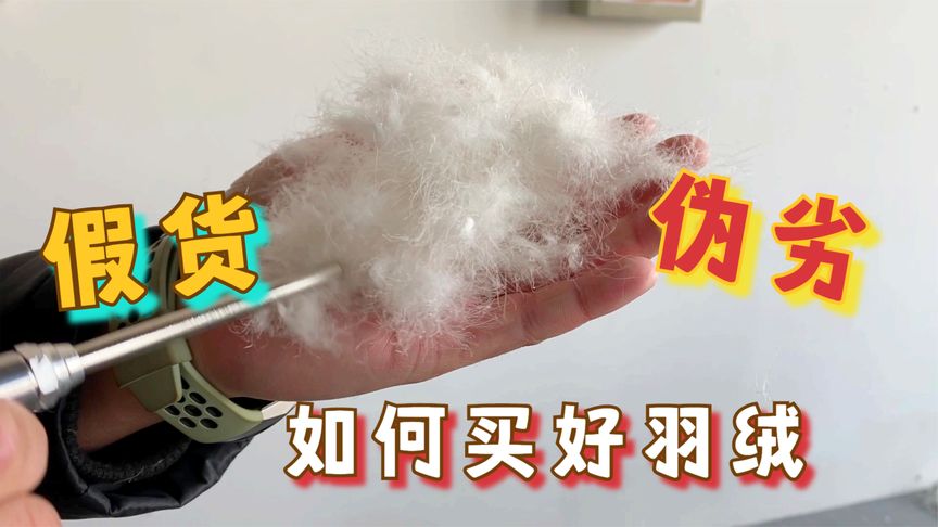 羽绒服钻绒、跑毛,教你最专业的识别方法!