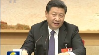 习近平参加上海代表团审议 160305