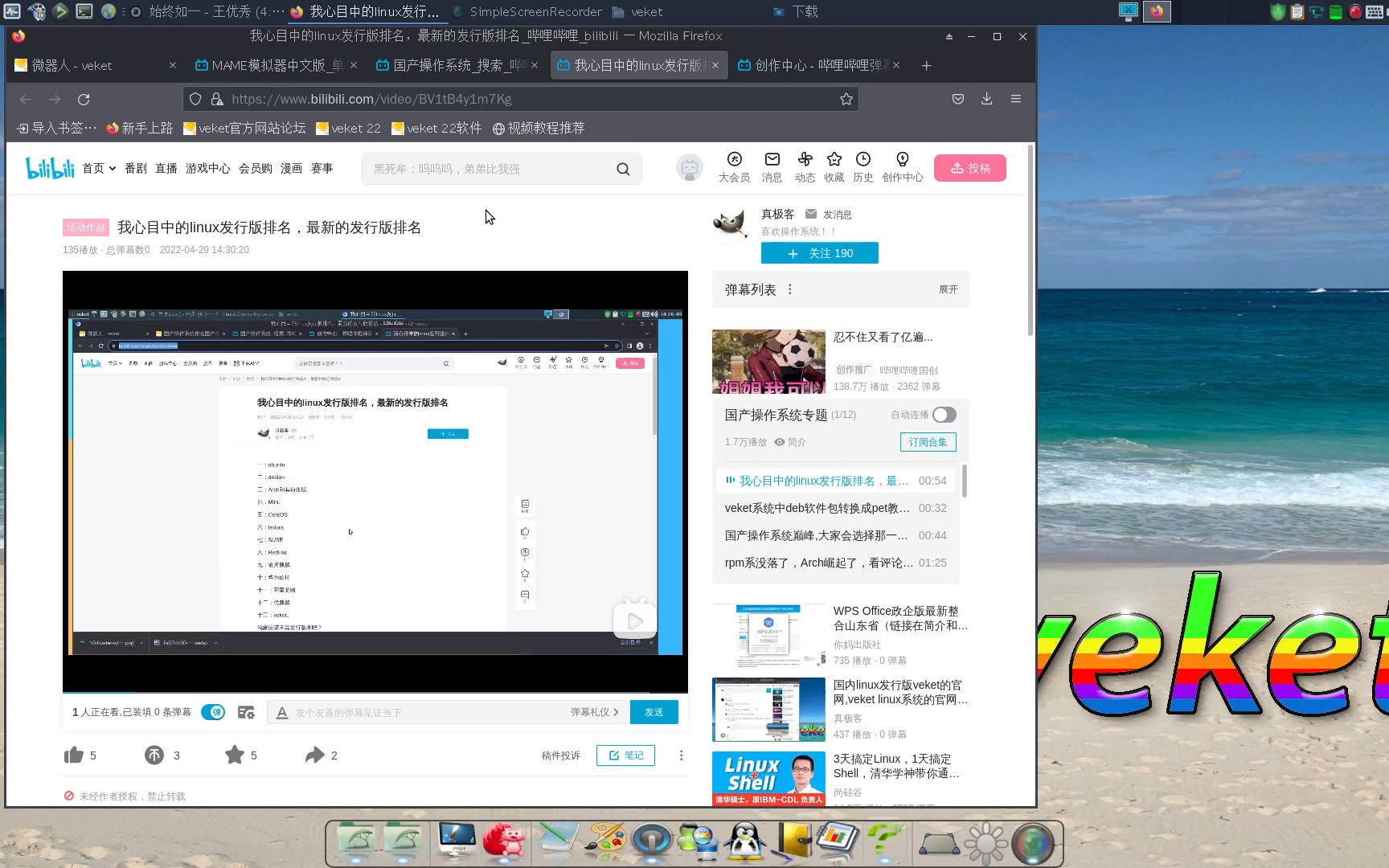 如何在国产操作系统上下载b站视频